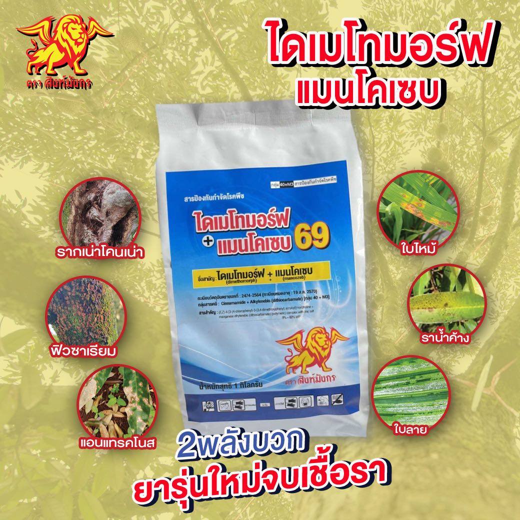 สิงห์มังกร - สินค้าสิงห์มังกร