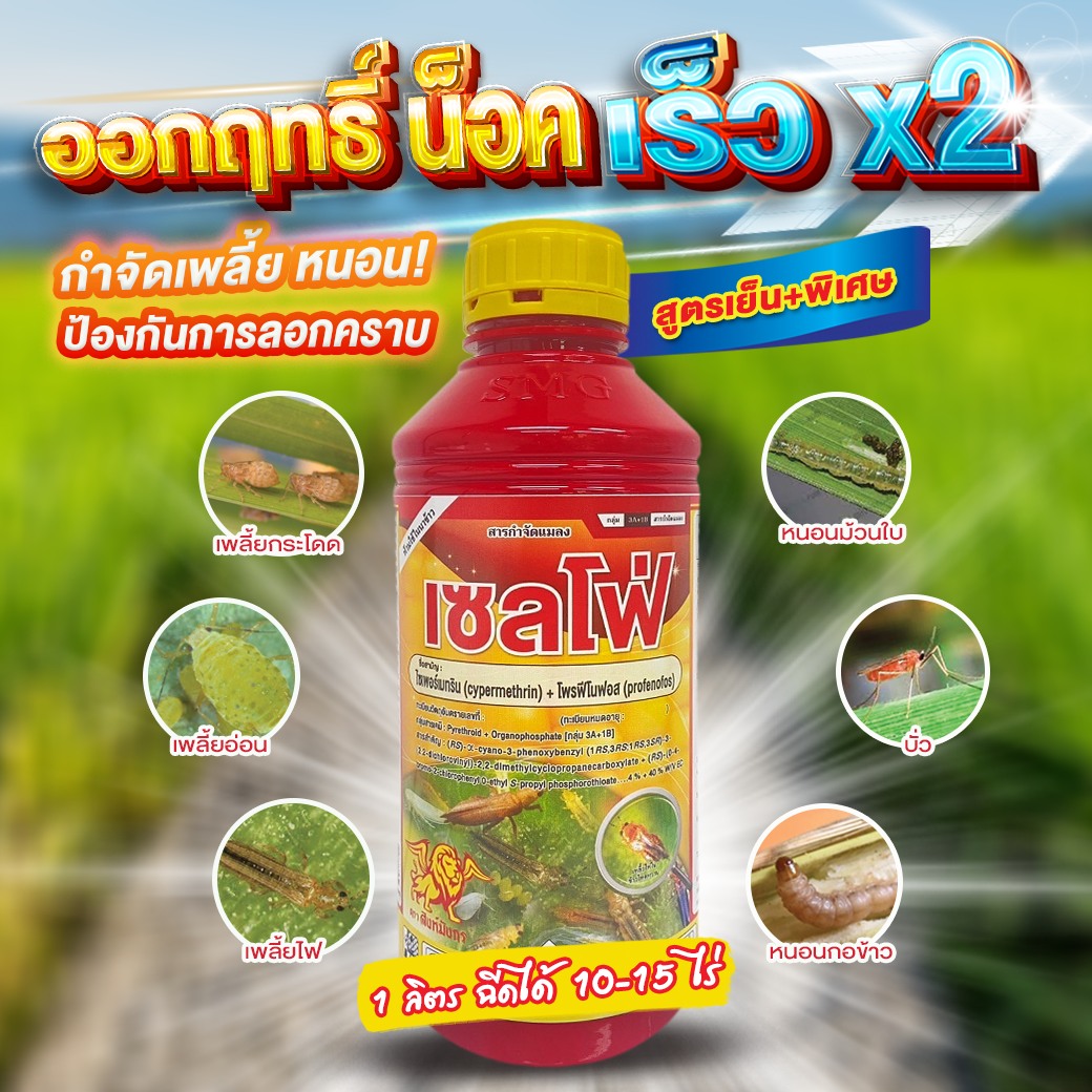 สิงห์มังกร - สินค้าสิงห์มังกร
