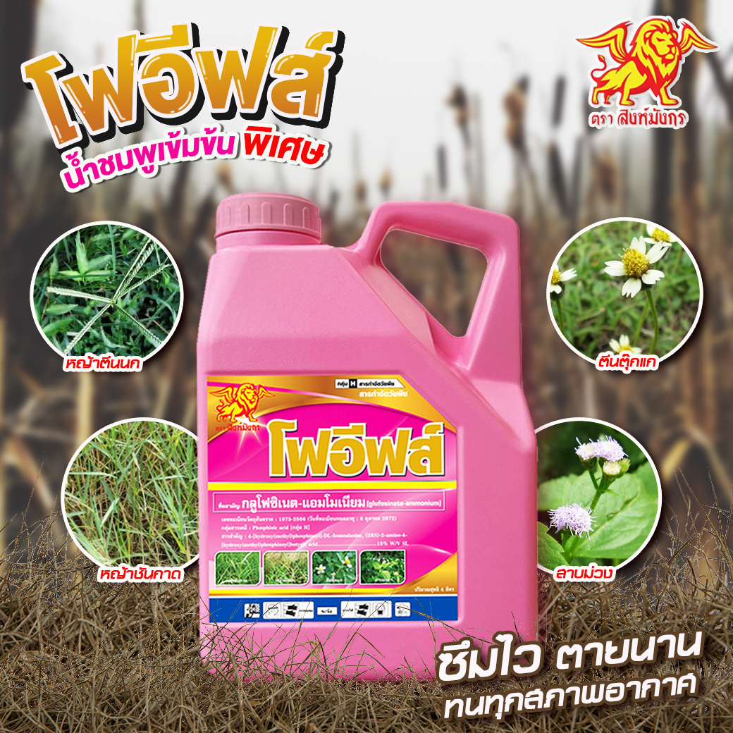 สิงห์มังกร - สินค้าสิงห์มังกร