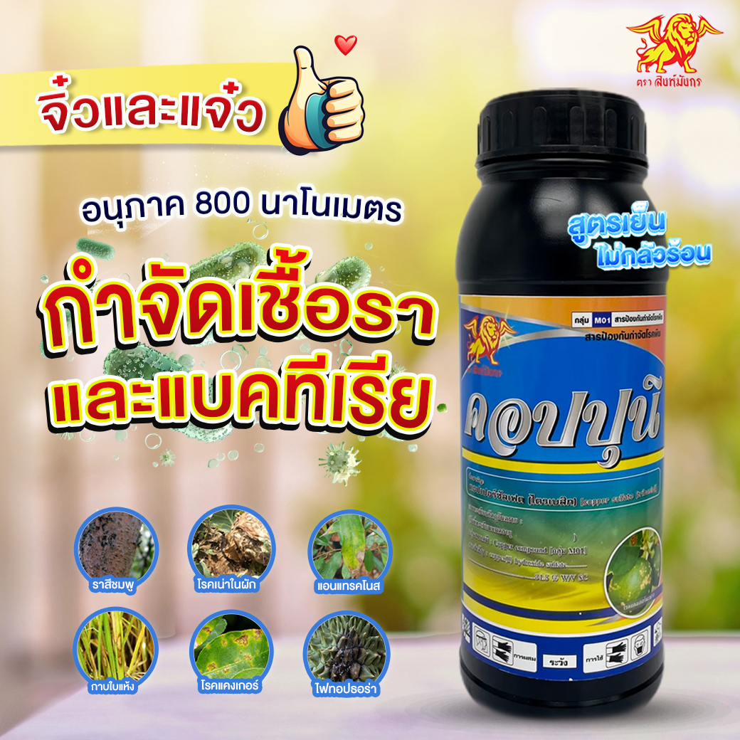 สิงห์มังกร - คอปปุนิ