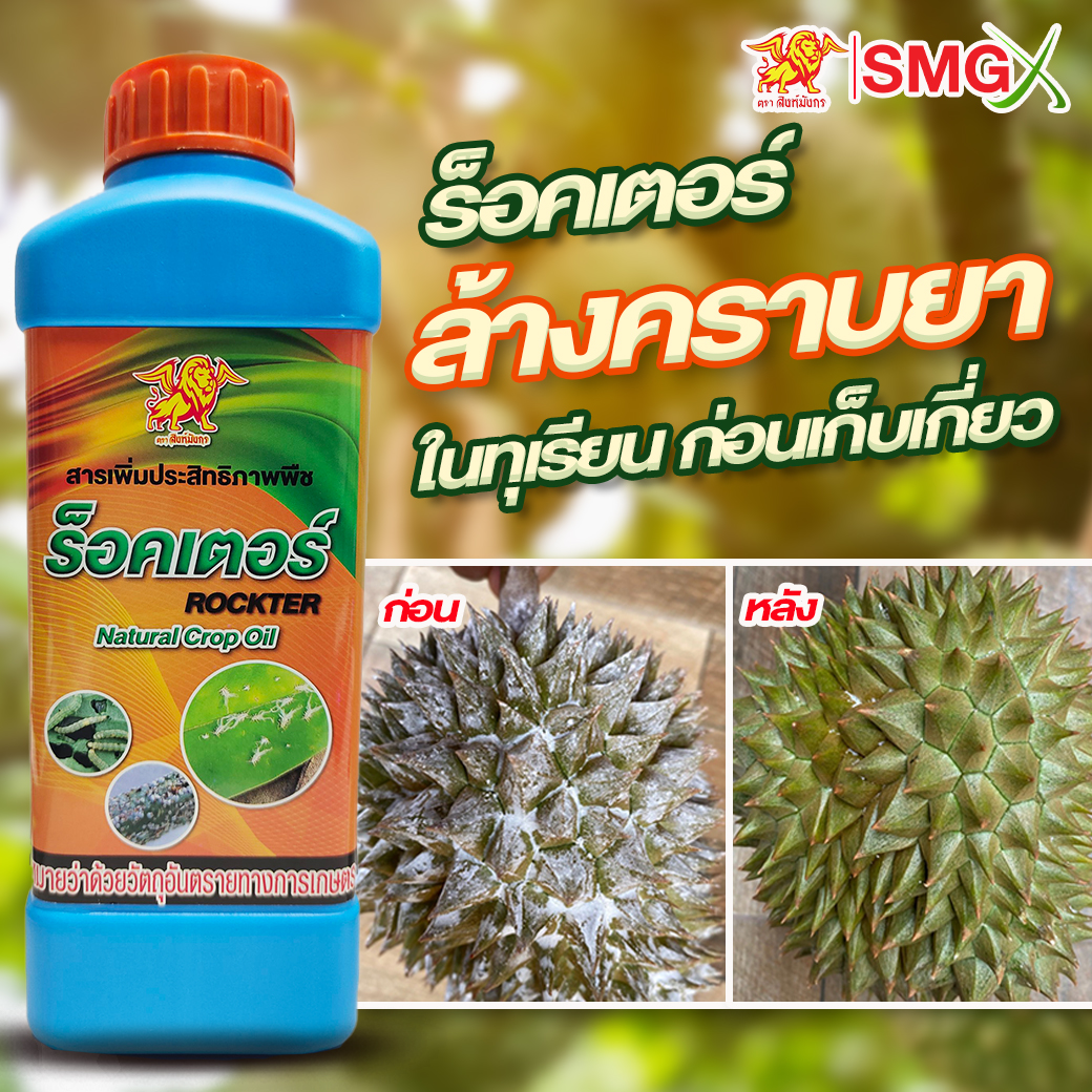 สิงห์มังกร - สินค้าสิงห์มังกร